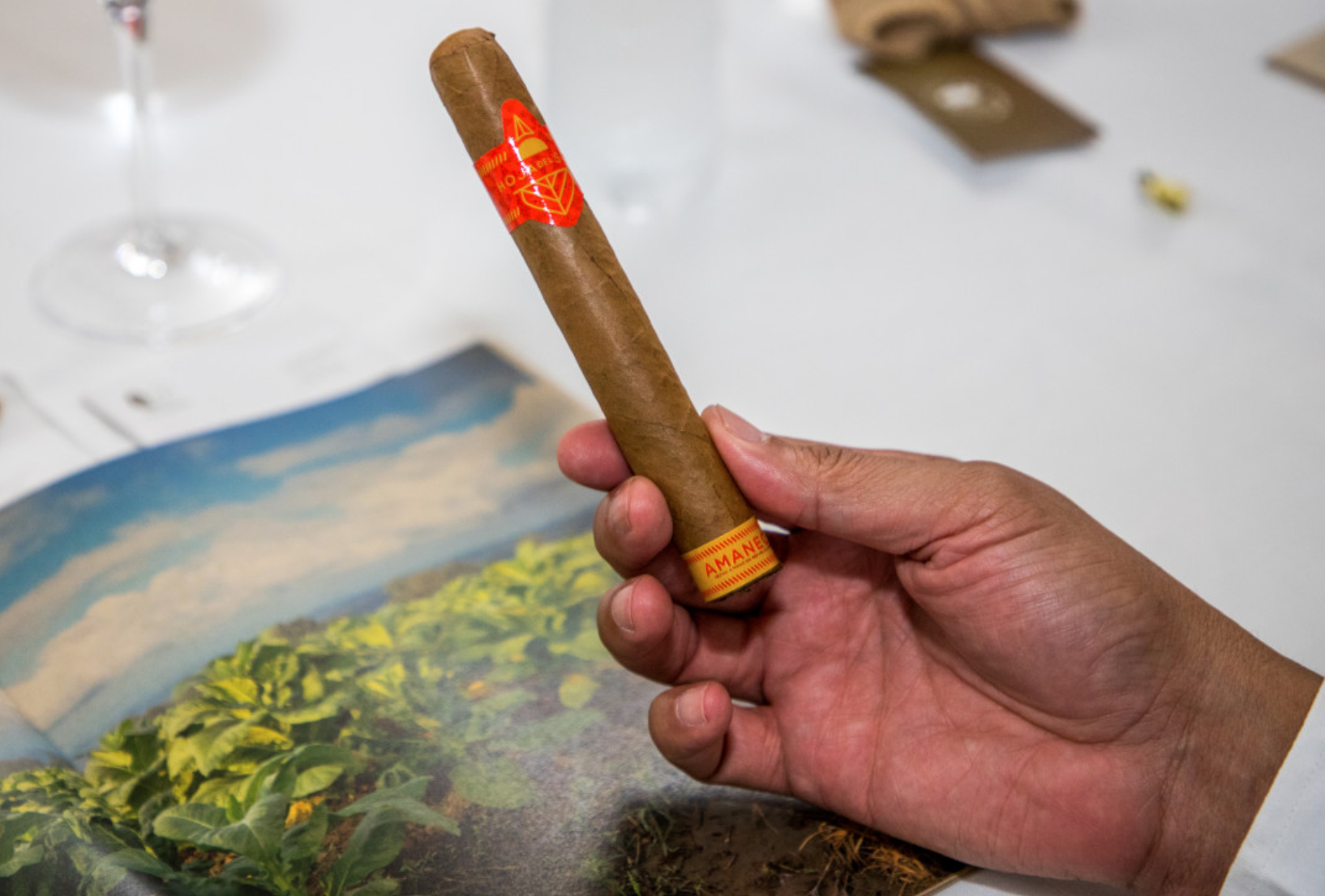 Congress declares cigars national cultural heritage | DR1.com