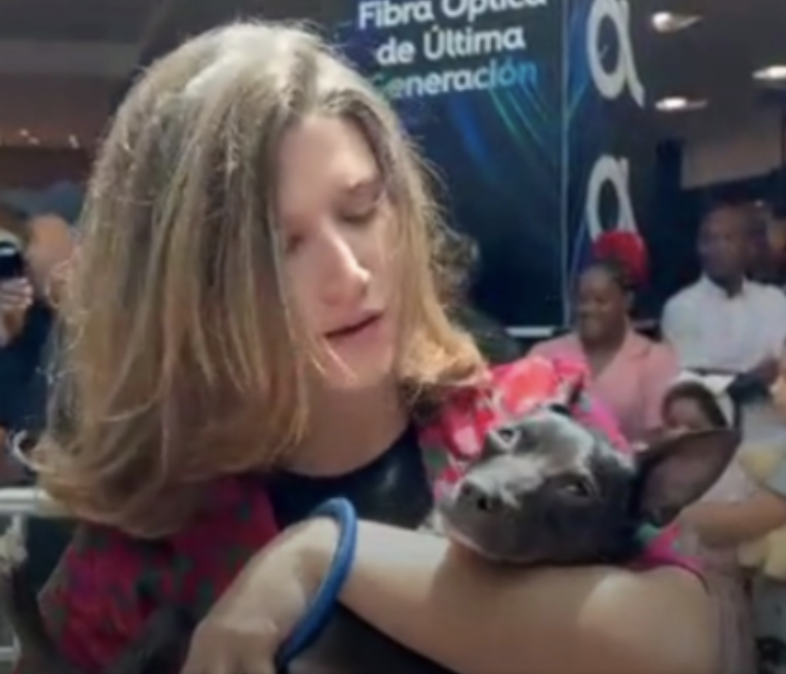 Dog hides for three weeks at Atlanta airport; Dominican woman recovers ...