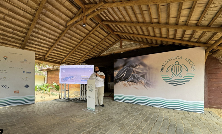 Punta Cana turtle reserve announced | DR1.com