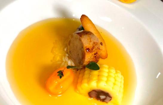 Dominican chefs continue to be recognized abroad | DR1.com